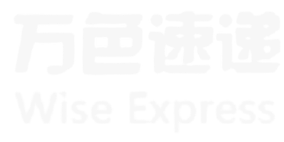 Wise Express Tracking – Track Your Parcel in Real Time